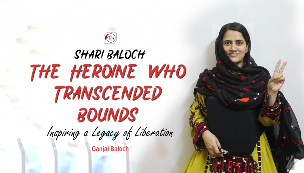 Shari Baloch: The Heroine Who Transcended Bounds, Inspiring a Legacy of ...