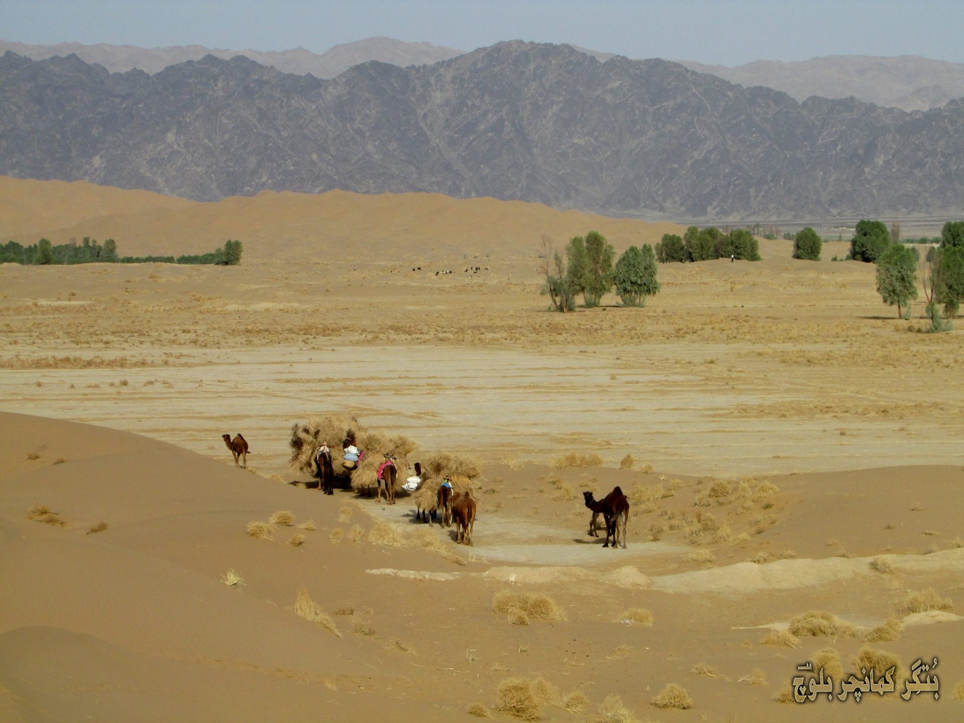 Balochistan Through The Lens – The Artistry Of Kamanchar Baloch: TBP ...